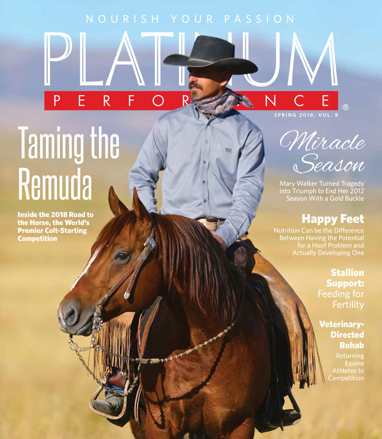 Taming The Remuda - Nick Dowers