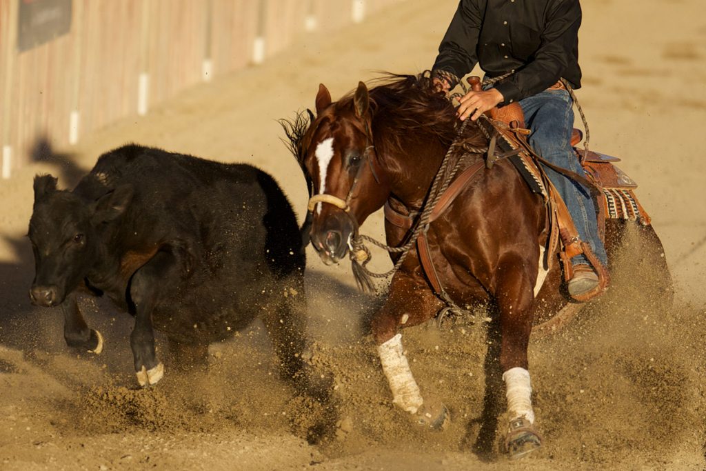 Performance With Purpose - Nick Dowers
