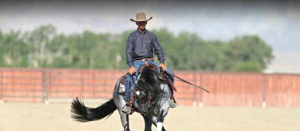 Training - Nick Dowers