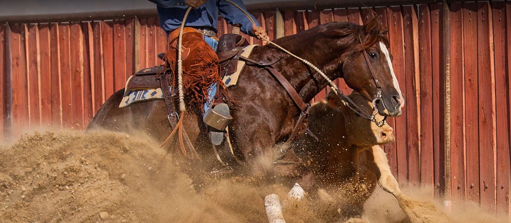 Videos - Nick Dowers