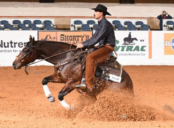 Accomplishments - Nick Dowers