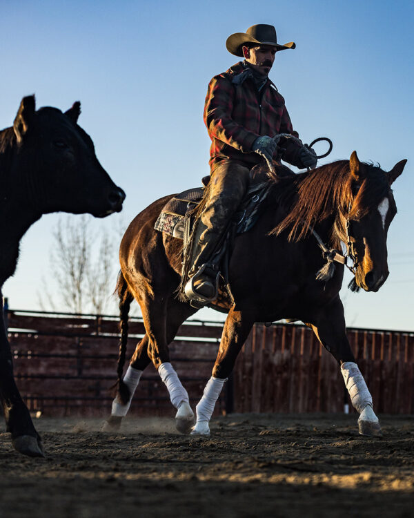 Cowboy Week - Nick Dowers