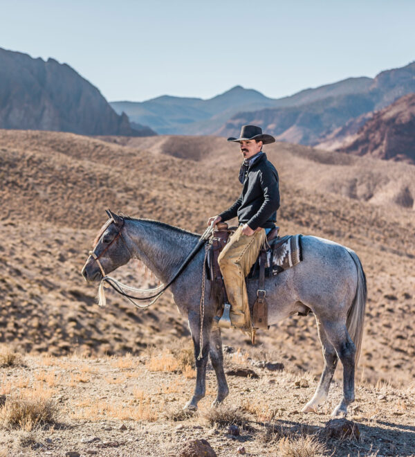 Cowboy Week - Nick Dowers