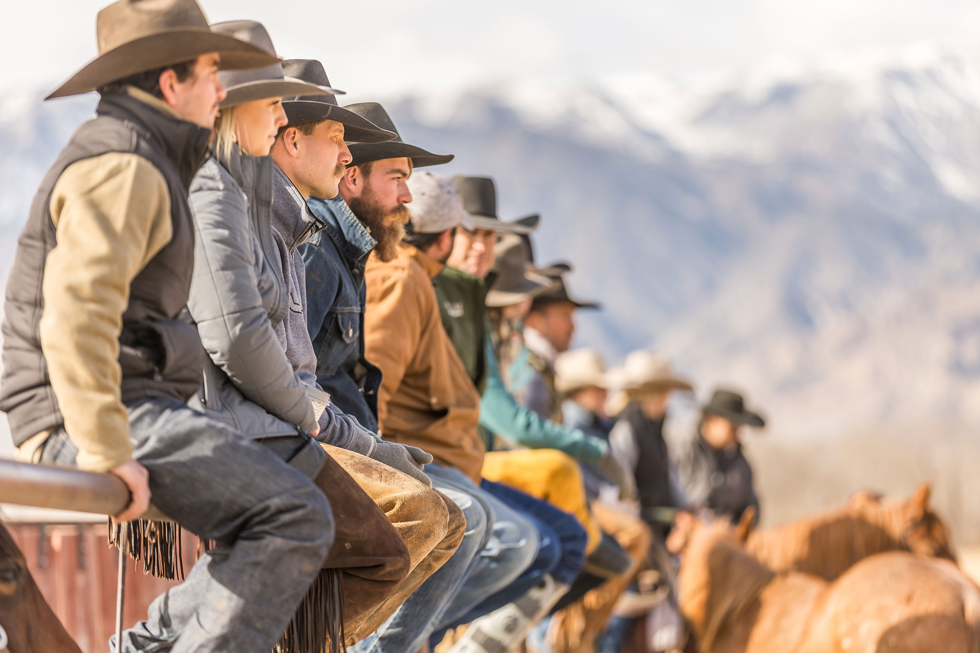 Cowboy Week - Nick Dowers