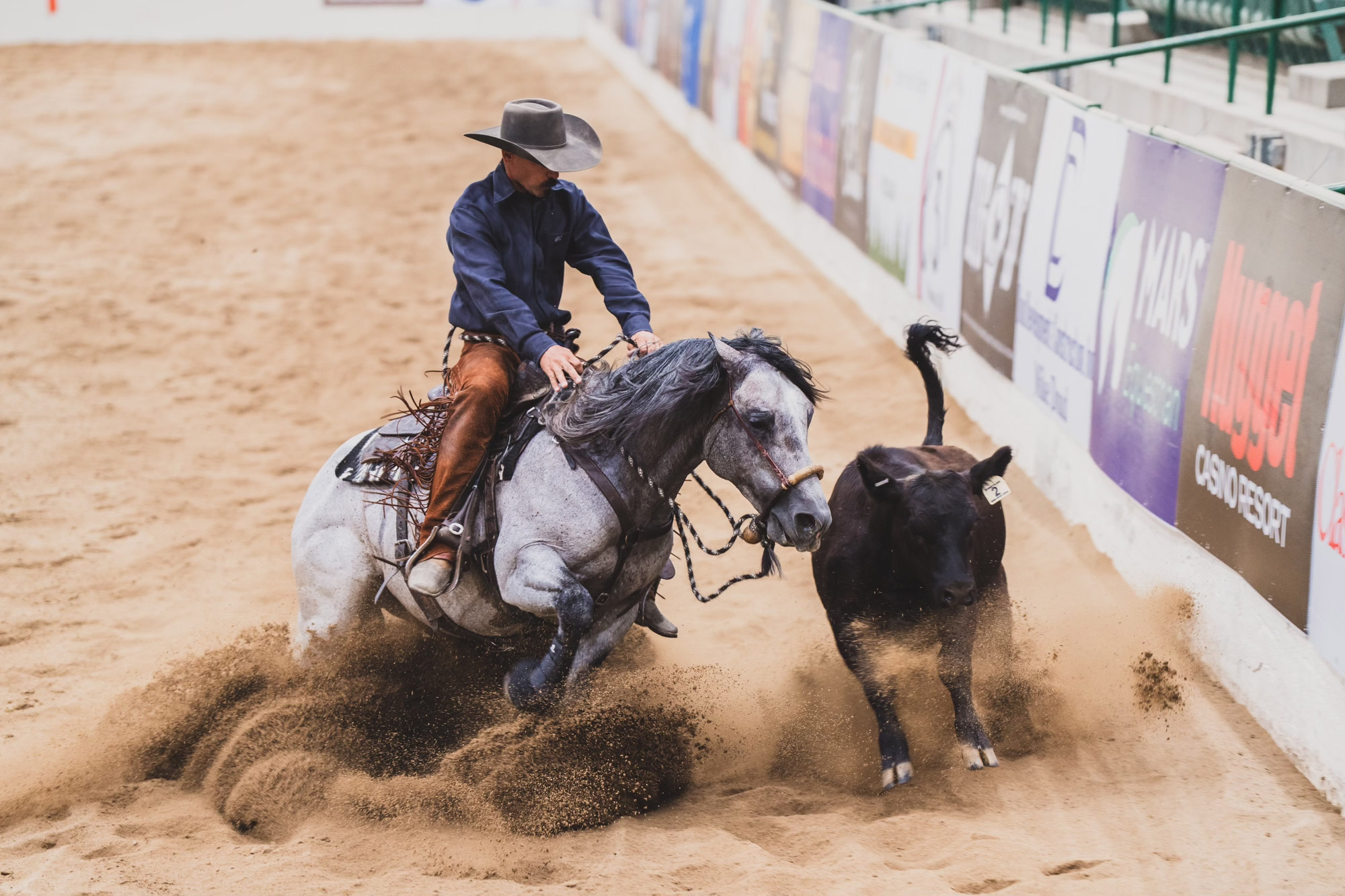 Republicat - Nick Dowers